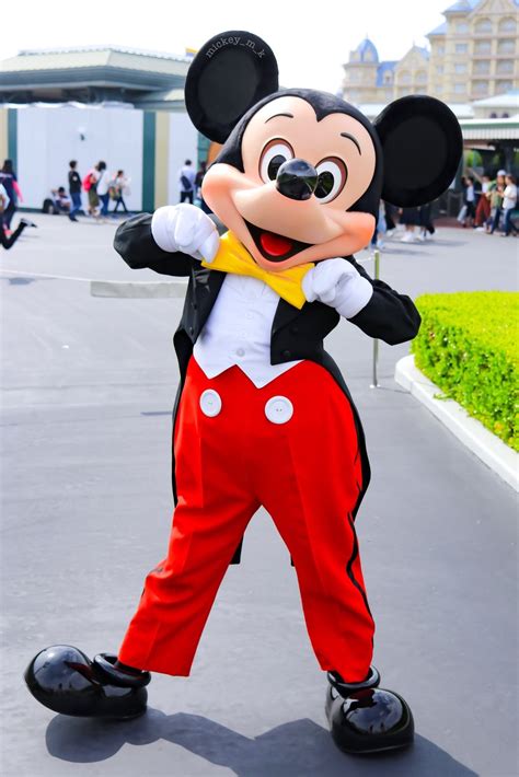 Pin By Debi Klaers On Gotta Love Disney Mickey Mouse Mascot Costume