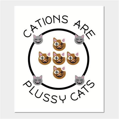 Cation Cat