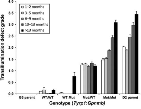 Iris Transillumination Defect For Each Age Group Segregated By Genotype