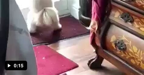 Are You Stuck Step Sister 9gag