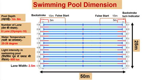 Swimming History Pool Dimensions Rules And Regulations Sports And