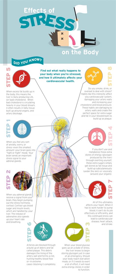 The Effects Of Stress On The Body Artofit