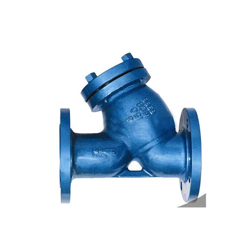 Basket Flanged Strainer Tyvtech