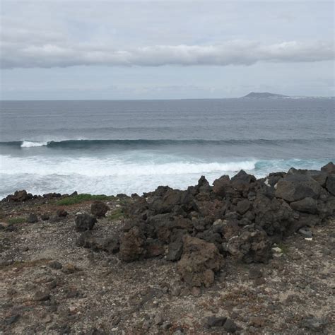 Isla Lobos Del Sex Pauline Wågström