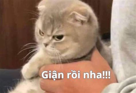 Sưu Tầm 100 ảnh Meme Dỗi Cute Khoanh Tay Giận Người Yêu
