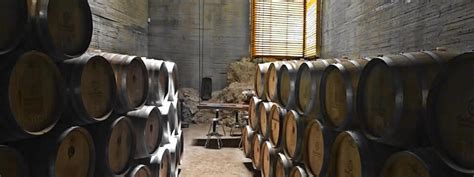 Clos De Tres Cantos Vinícola En El Valle De Guadalupe Proyecto