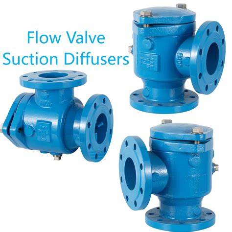 Pump Suction Diffuser With Strainer At Mikayla Skene Blog