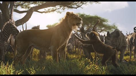 Mufasa The Lion King Disney Movies