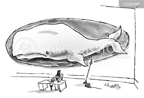 Moby Dick Cartoons And Comics Funny Pictures From Cartoonstock