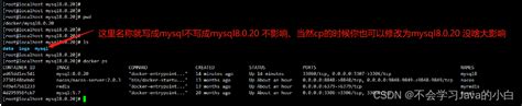 Docker安装mysql8docker 安装mysql8 Csdn博客