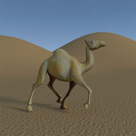 Camel Walk  At Stanley Call Blog