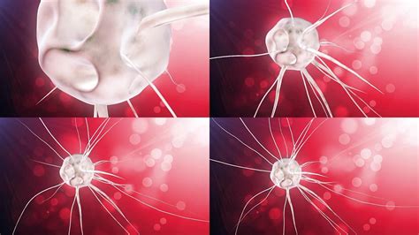 突变细胞，基因工程和dna操作视频素材下载编号22796286光厂vj师网