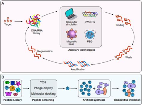 Aptamer Synthesis Revolutionizing Biotech Solutions Today Kmd Bioscience Provides