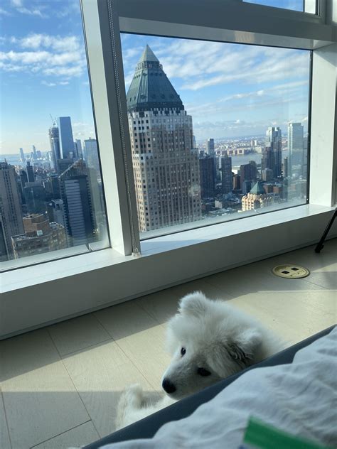 1056 Best Bear Cub Images On Pholder Hardcoreaww Aww And Nature Is Fucking Lit
