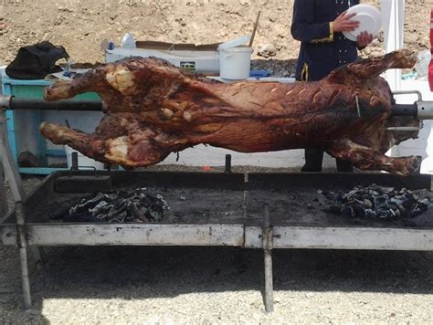 Vițel La Proțap Şapte Pietre