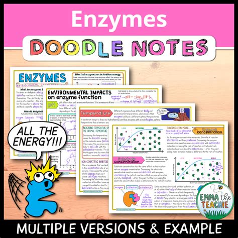 Enzymes Doodle Notes Emmatheteachie