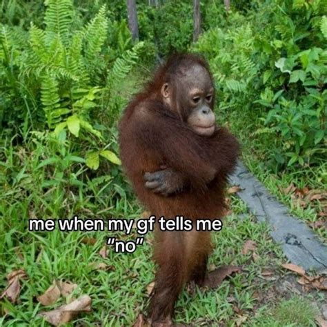 Classroom Combat Youtube