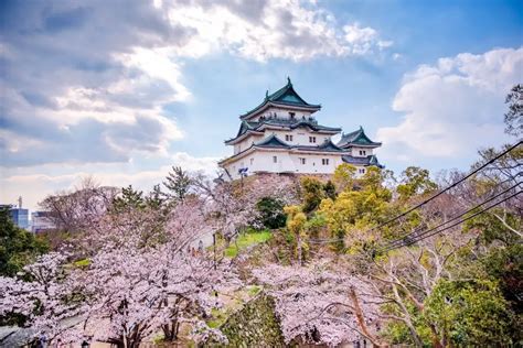 Nijo Castle And Other Hidden Gems In Japan Sakuraco