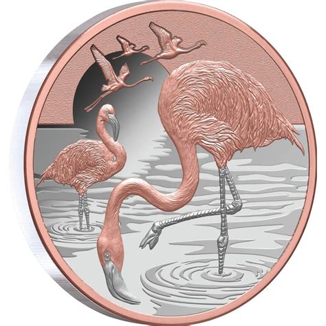 Pink Flamingo 2025 1 Rose Gold Plated 1oz Silver Proof Coin Arts And