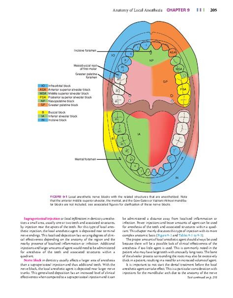 Anatomy Of Local Anesthesia Msa Asa Psa And Ia Blocks Overview