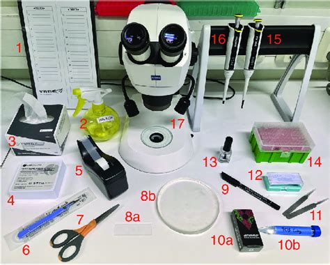 Sample Mounting For Imaging The Figure Shows The Following Items Used