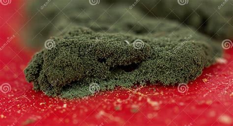 Close Up Of Black Mold On Red Surface Texture And Detail Stock Image Image Of Damp Unknown
