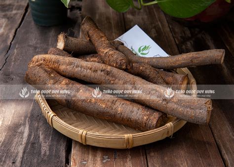 Củ Gai Có Tác Dụng Gì Uống Củ Gai Có Ảnh Hưởng Tới Thai Nhi