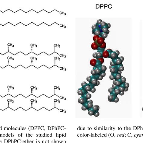 Of Dppc Dphpc Ester And Dphpc Ether Lipid Bilayers Under Various