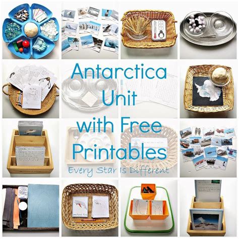Antarctica Unit W Free Printables Antarctica Antarctica Activities