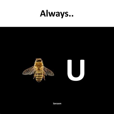 Kaleb Assefa Posted On Linkedin