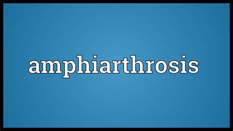 Amphiarthrosis Definition Types And Examples Sciencepulseblog