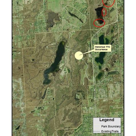 Map Of Existing Tamarack Tree Cricket Record And General Areas Surveyed Download Scientific