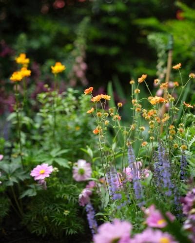 Derek Rostel Mcipd Fih On Linkedin Four Seasons Hotel London At Park Lane Presents “king Of Green”…