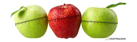 Croptracker Croptracker Releases Latest Update To Its Harvest