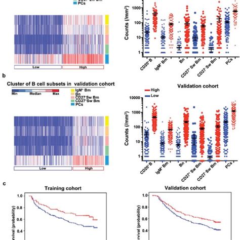 Cluster Analysis Based On B Cell Density Enables Patient Classification