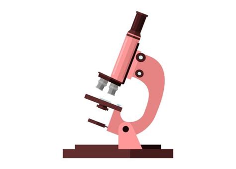 80 Microscope Looking Side On Stock Illustrations Royalty Free Vector