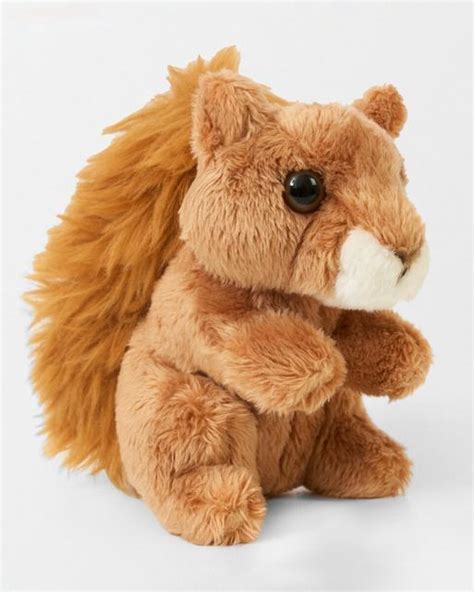 Squirrel Scouts Squirrels Uniform Clothing Badges And Accessories Scout Store