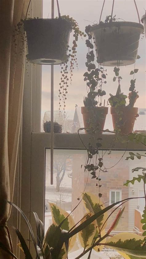 Spot My Bedroom Window Spy R Crowbro
