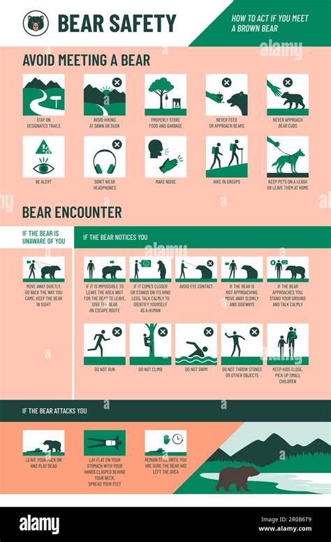 Bear Safety Infographic With Icons Set How To Avoid Meeting A Bear And