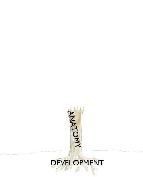 The Tree Of Gender Immanence