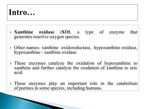 Xanthine Oxidase Enzyme Pptx