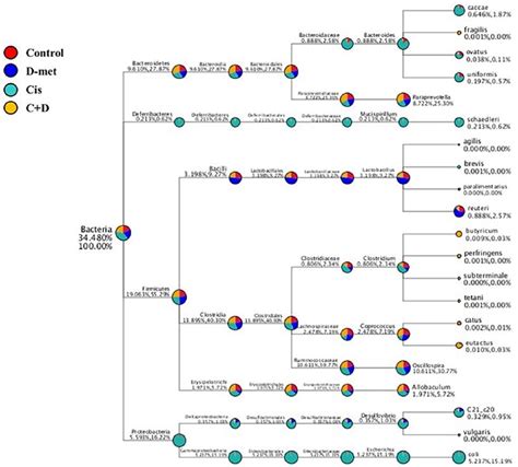 Classification Tree The First Circle Represents The Kingdom Level