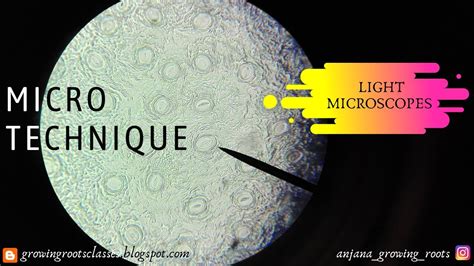 Different Types Of Light Microscopes Malayalam Florescence