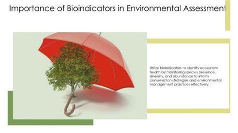 Bioindicator Assessment Powerpoint Presentation And Slides Ppt Slide Slideteam