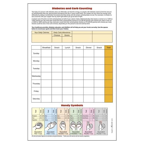 Nasco Healthcare Carb Counting Food Replica Kit And Tearpad