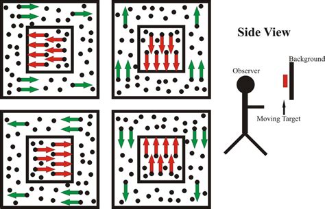 Schematic View Of The Motion Defined Square Stimulus Configurations