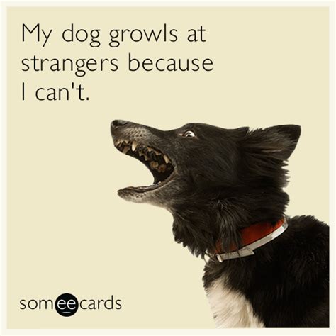 My Dog Growls At Strangers Because I Cant Dogs Dog Growling Funny