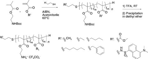 The Role Of Hydrophobicity In The Antimicrobial And Hemolytic