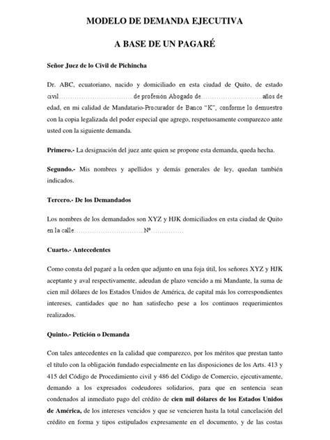Modelo De Demanda Ejecutiva Descargar Gratis Pdf Procedimiento