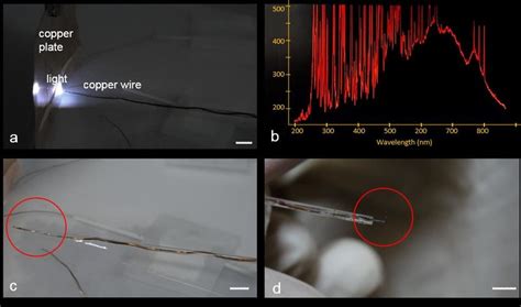 Copper Wire Electrode At John Gemmill Blog